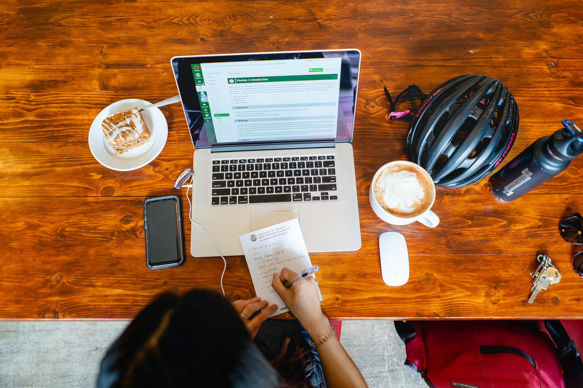 Online College Programs - Learn | CSU's Office Of Engagement & Extension