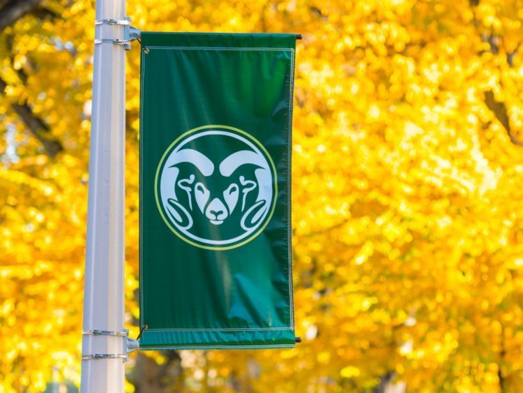 CSU Lincoln Leaders - Learn | CSU's Office Of Engagement & Extension
